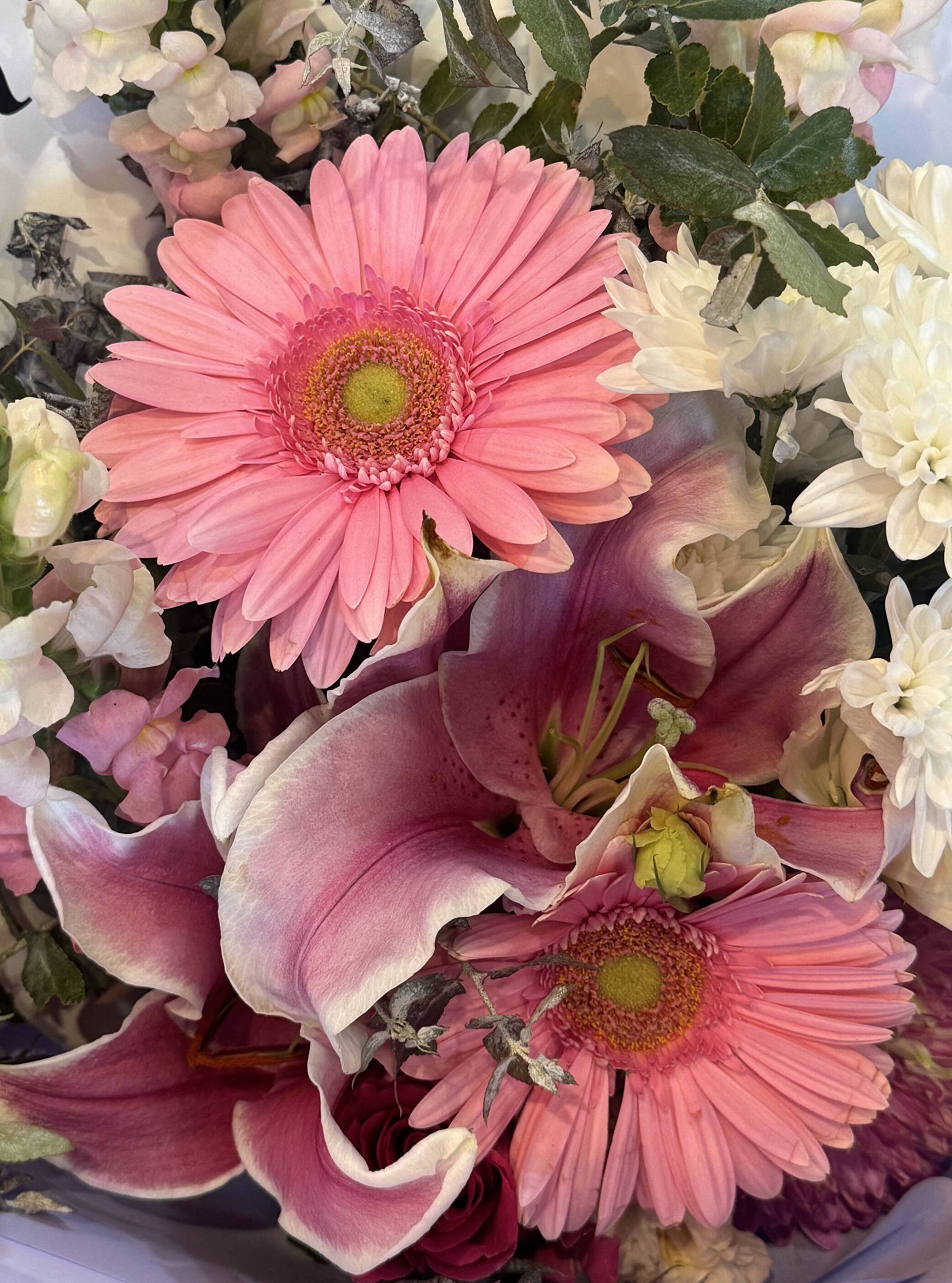 funky bunches florist in leederville flowers delivery perth | FUNKY BUNCHES